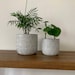 Textured Floral Ceramic Planter Pots - Etsy