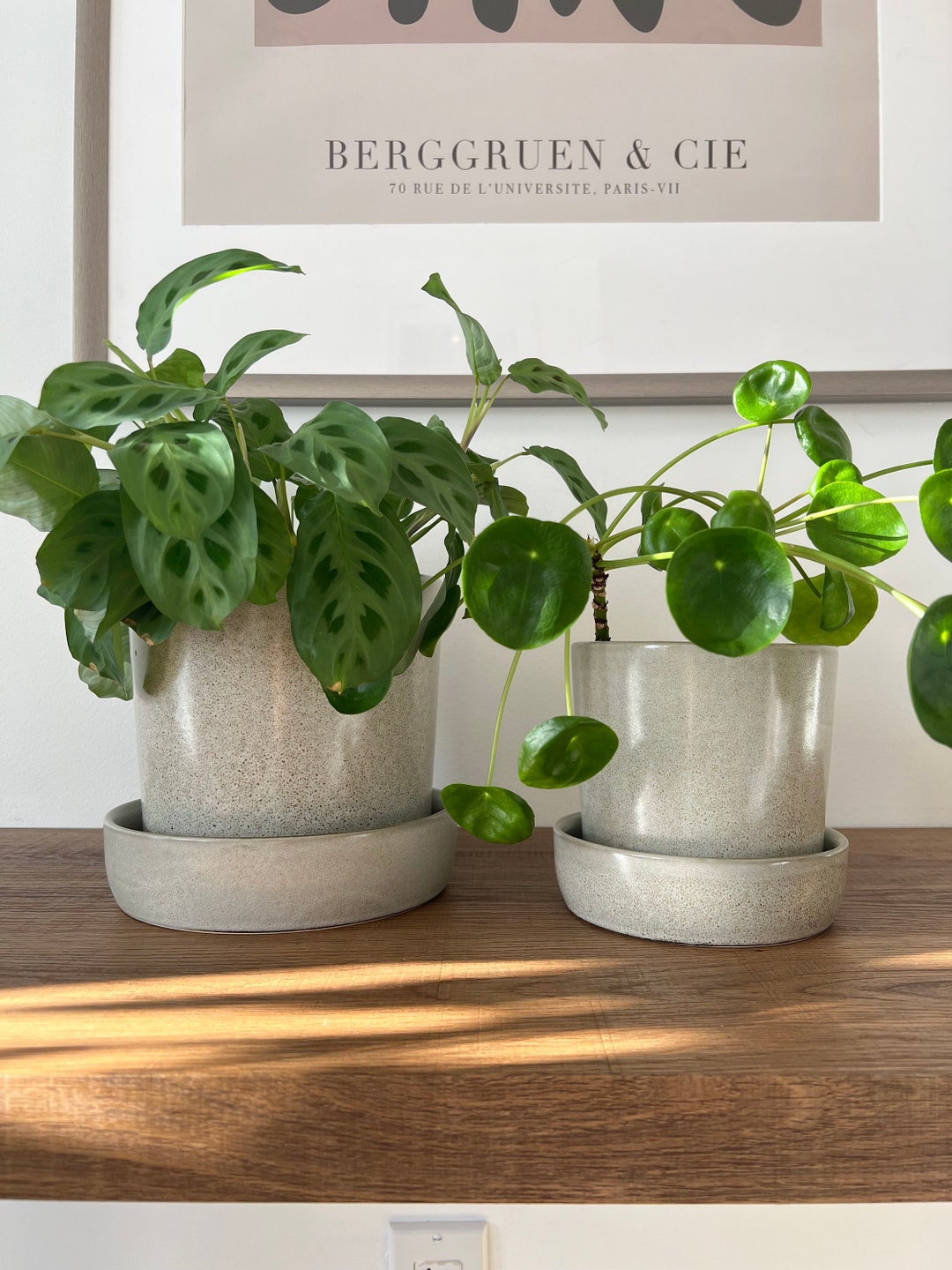 Light Grey Ceramic Plant Pot With Saucer - Etsy