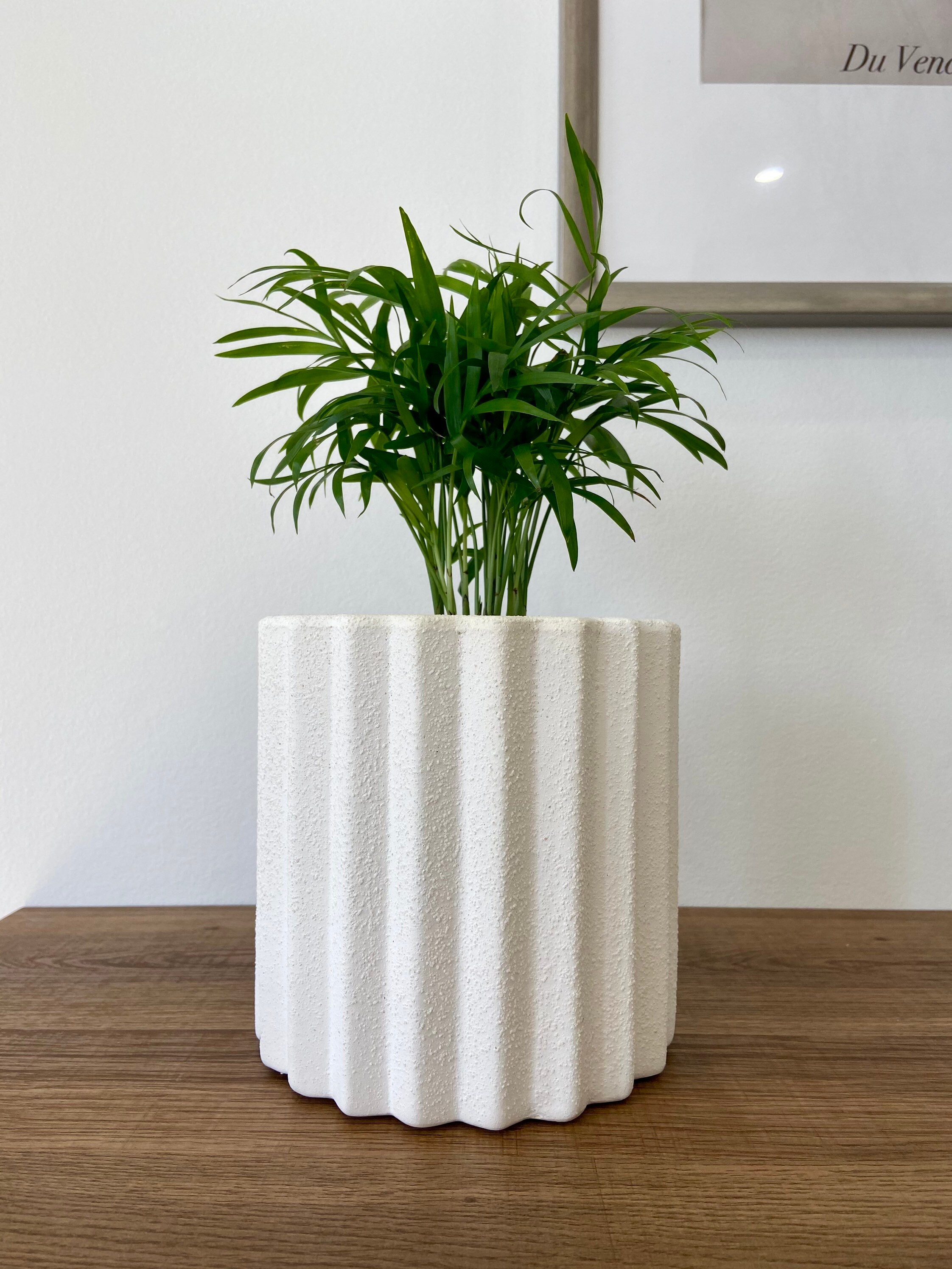 White Column Ceramic Planter Pots - Etsy