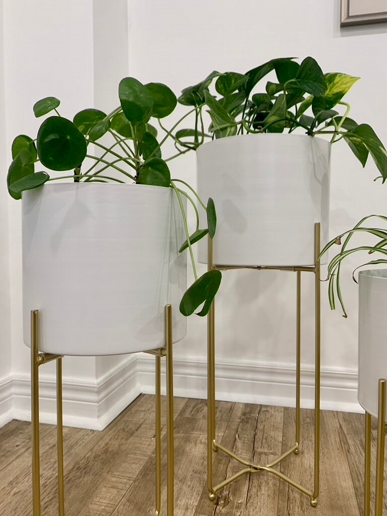 Modern White Metal Planter Pots on Gold Plant Stands | Etsy