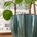 Green Behemoth Ceramic Planter Pot - Etsy