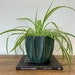 Green Behemoth Ceramic Planter Pot - Etsy