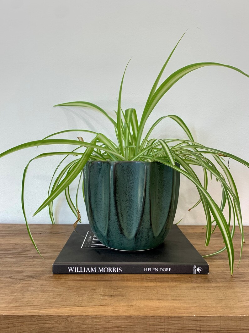 Green Behemoth Ceramic Planter Pot - Etsy