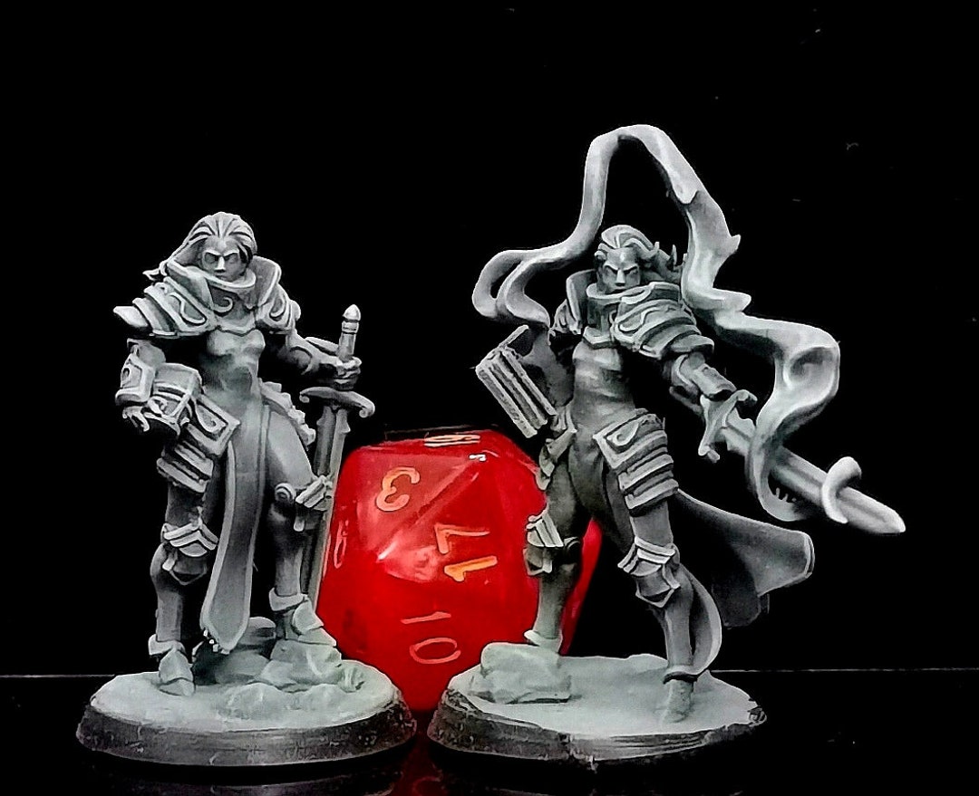 Ariana Paladin and Eldritch Knight 4K Ultra HD RPG Miniatures UK ...