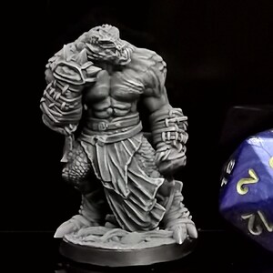 Troglodyte Boss / 4K Ultra HD Handpainted Miniature / Master of ...