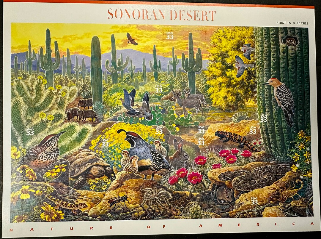SONORAN DESERT Vintage U.S. Postage Stamps, Full, Unused and Mint Sheet ...