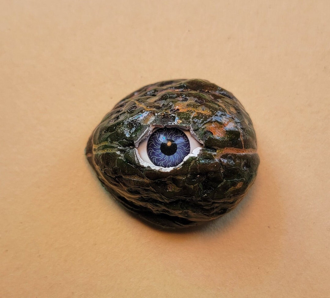 Camo: Weird One-of-a-kind Walnut Shell Refrigerator Magnet - Etsy
