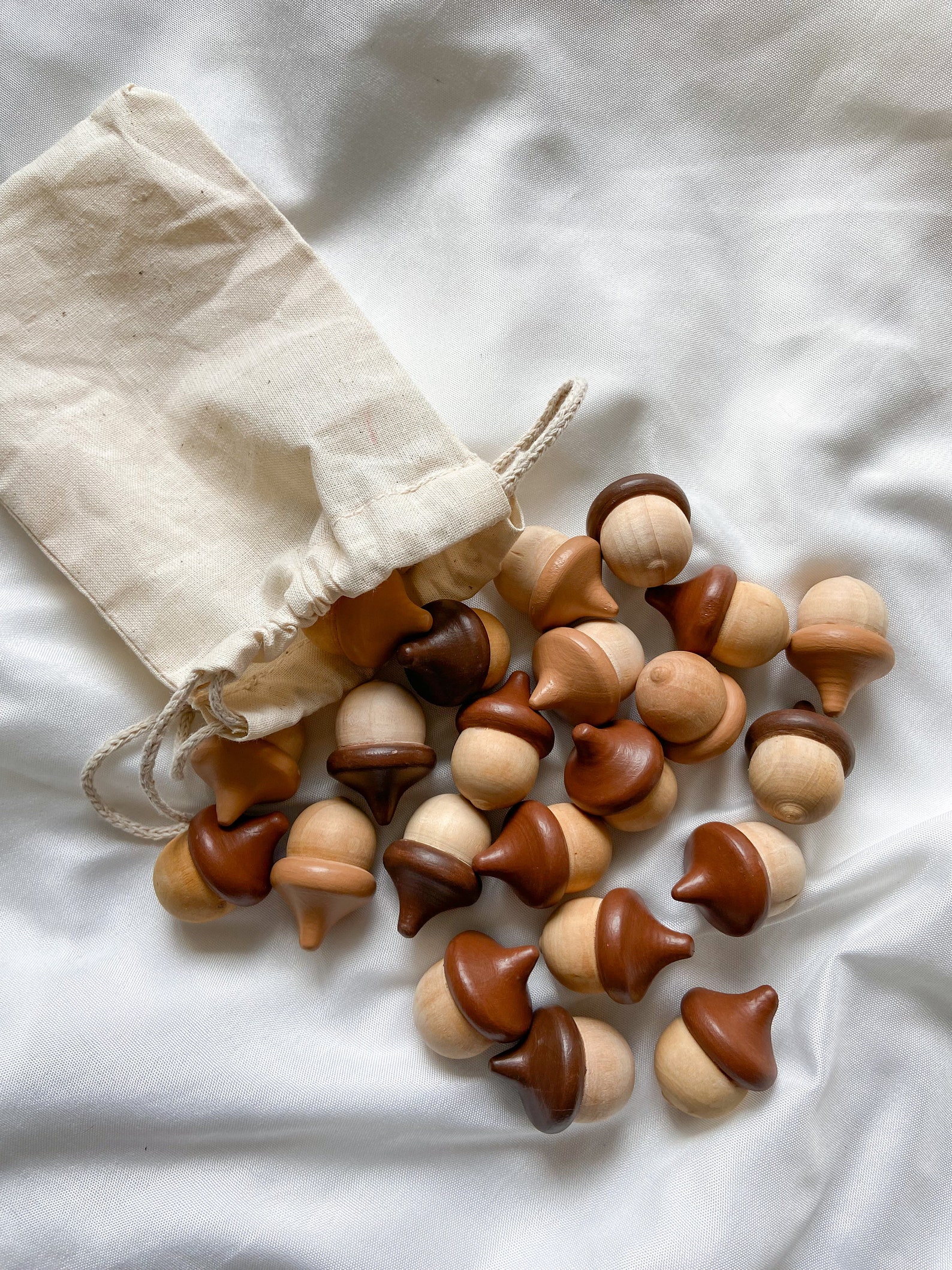 Counting Acorn Set Wooden Learning Resource Physical Math - Etsy