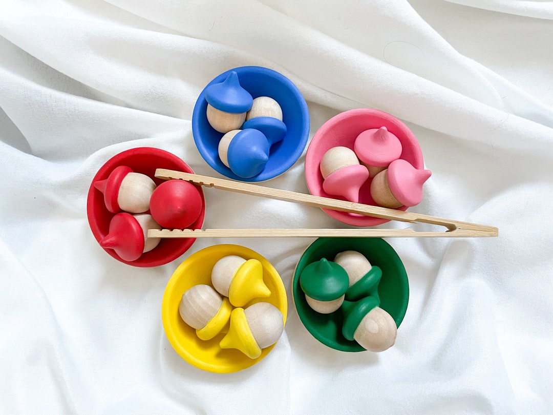 Wooden Colour Sorting Acorn Bowls - Montessori & Preschool Educational ...
