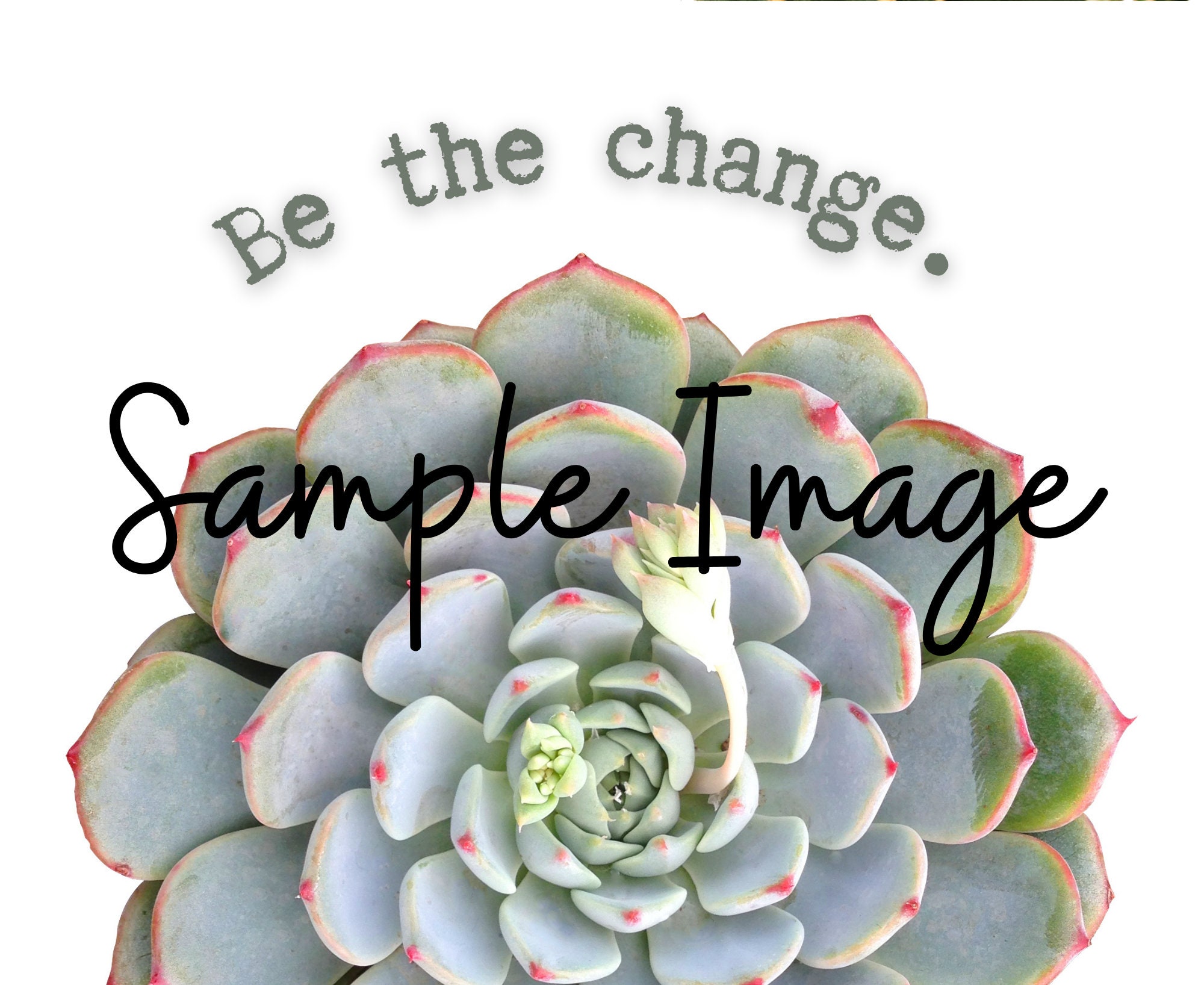 10 Cactus-themed Digital Download Kindness Classroom Posters - Etsy