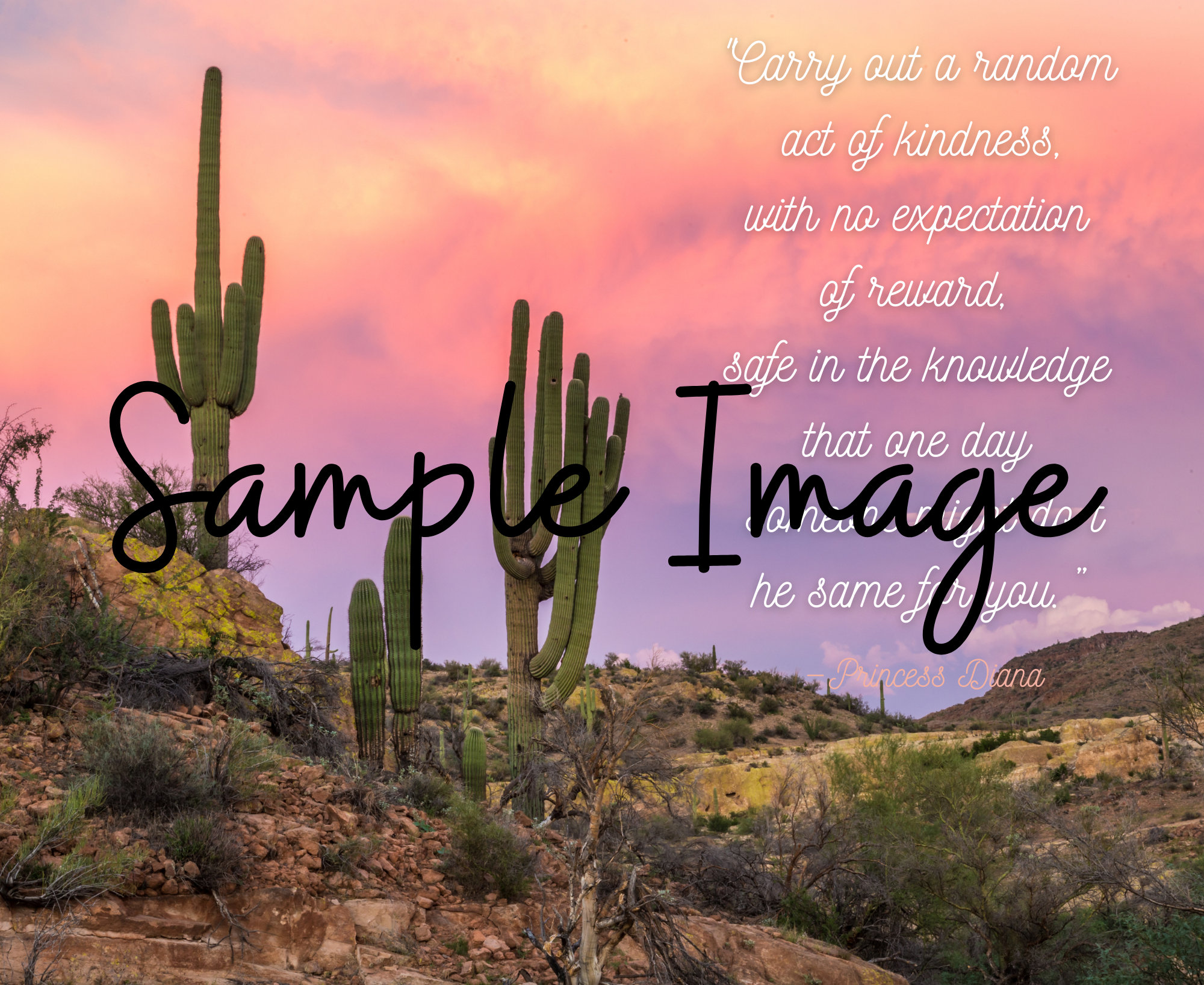 10 Cactus-themed Digital Download Kindness Classroom Posters - Etsy