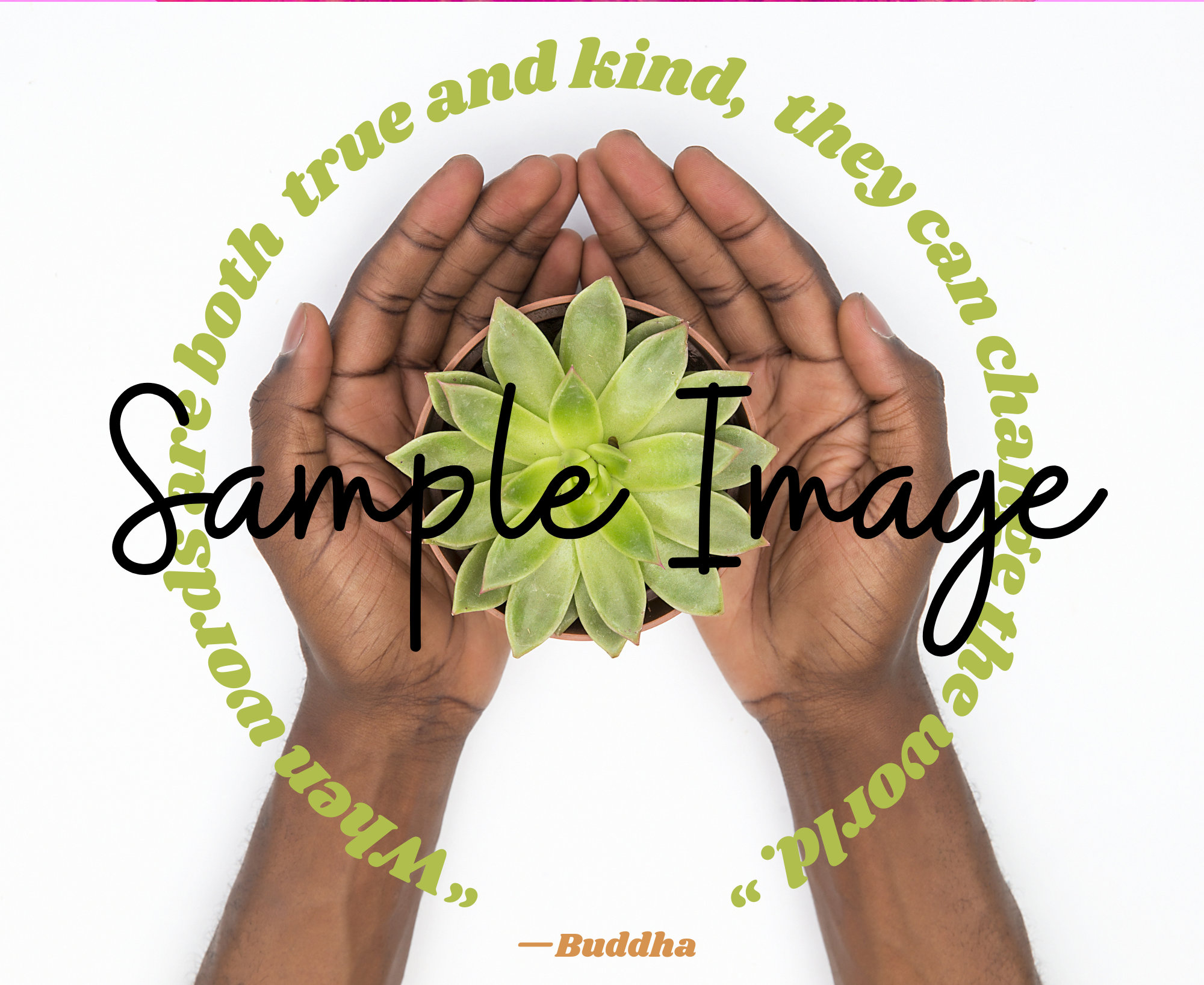 10 Cactus-themed Digital Download Kindness Classroom Posters - Etsy