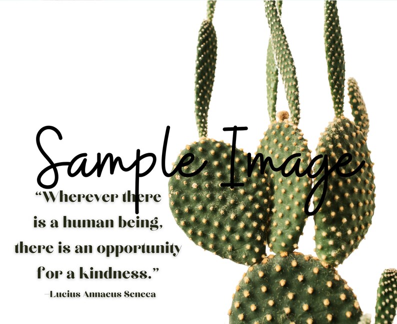 10 carteles de clase de amabilidad de descarga digital con temática de ...