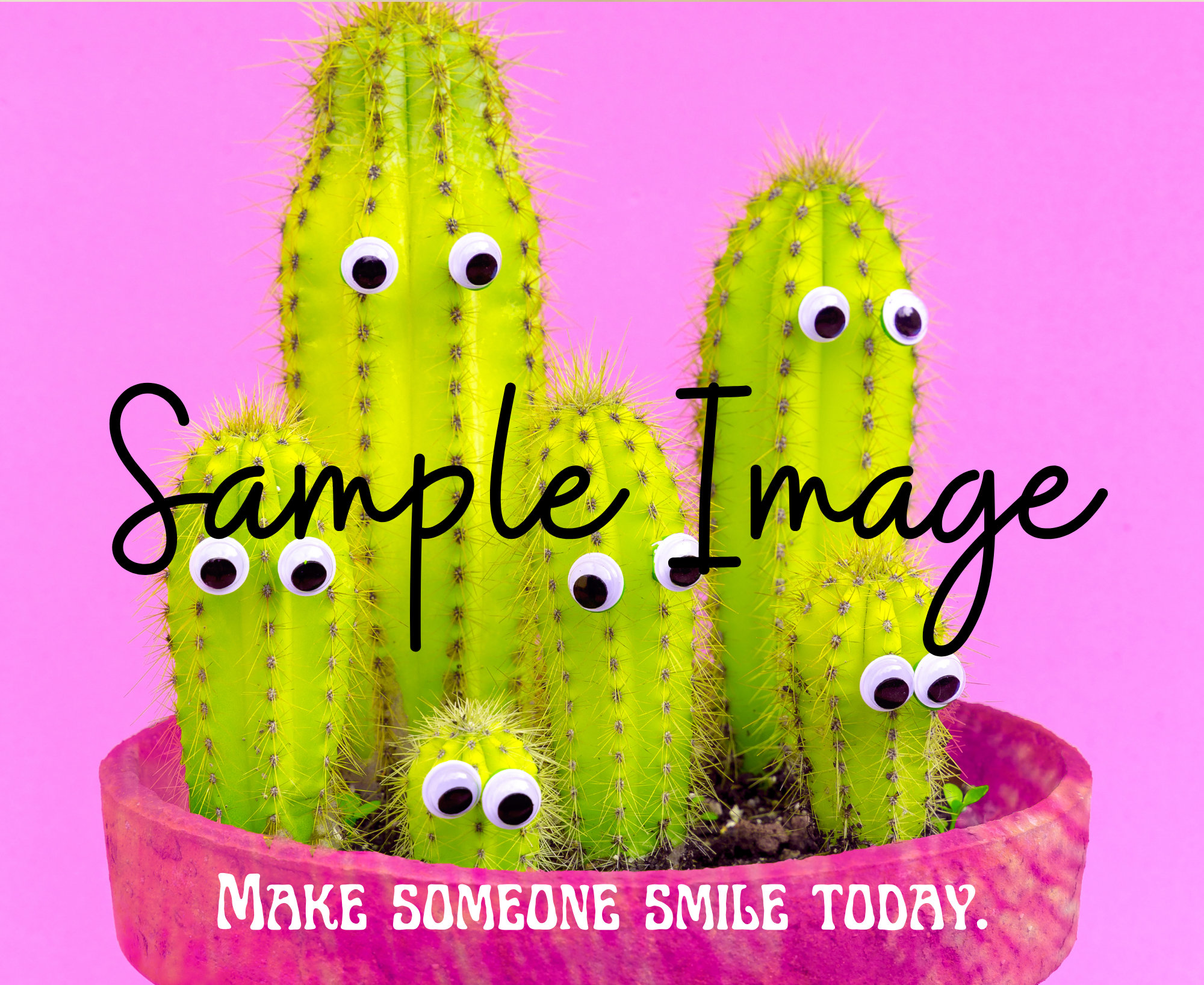 10 Cactus-themed Digital Download Kindness Classroom Posters - Etsy