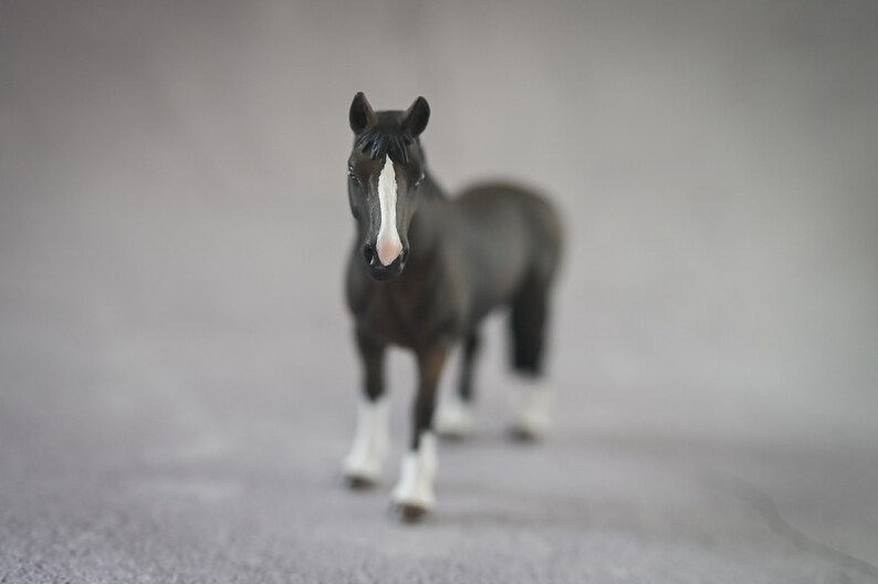 Custom Schleich Horse Repaint - Etsy