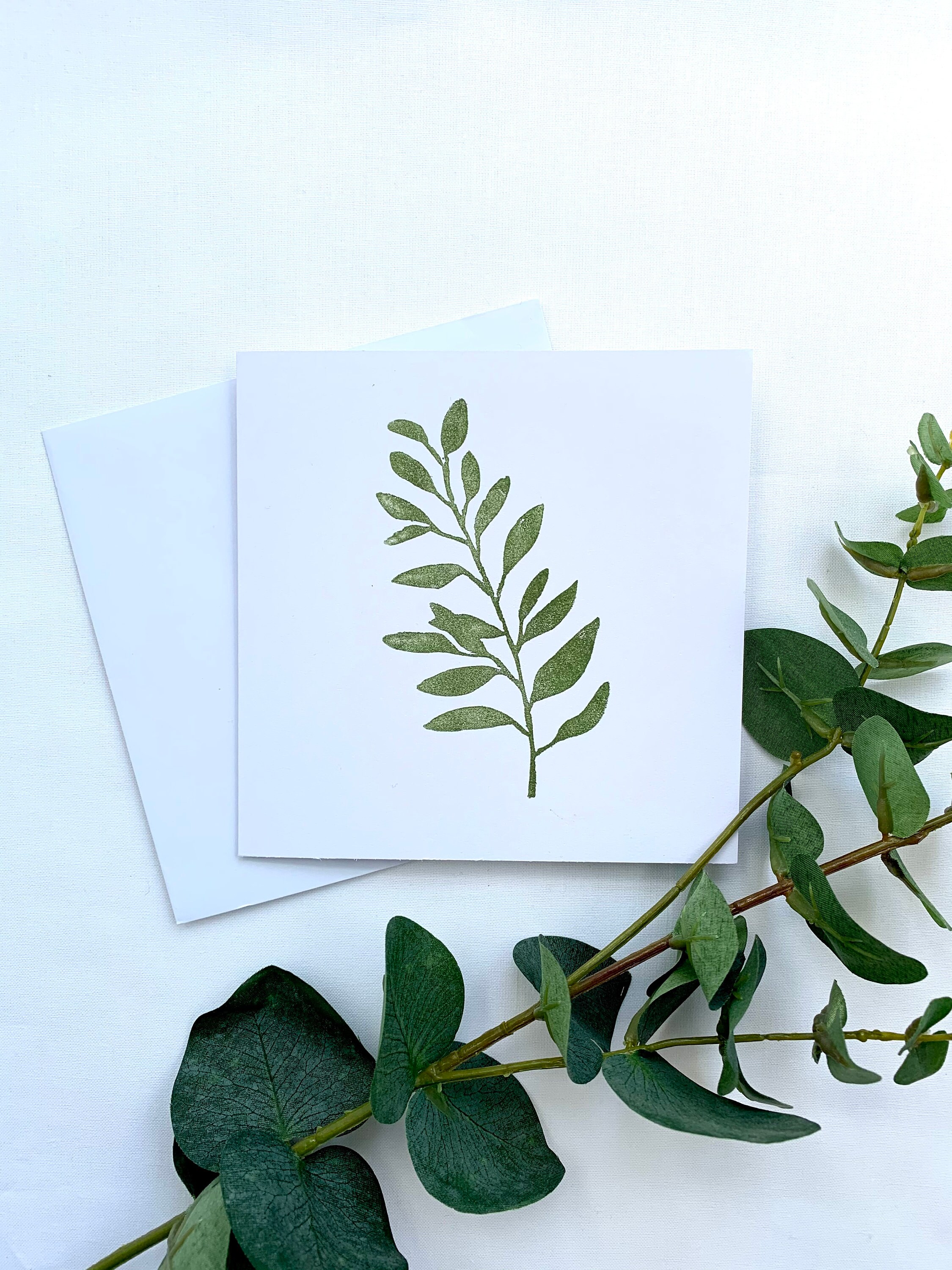 Leaves Card, Foliage Card, Plant Cards, Recycled, Blank, Olive Leaf ...
