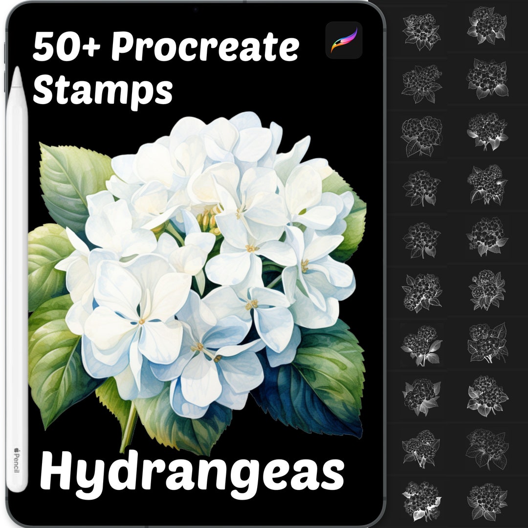 Hydrangeas Floral Procreate Stamps | 50+ Procreate Floral Stamps | Procreate Brushes | Flower ...