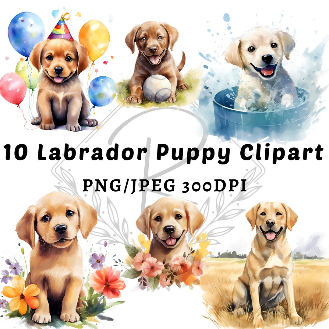 Labrador Puppy Dog Breed Clipart| 10 High-quality PNG Watercolor ...