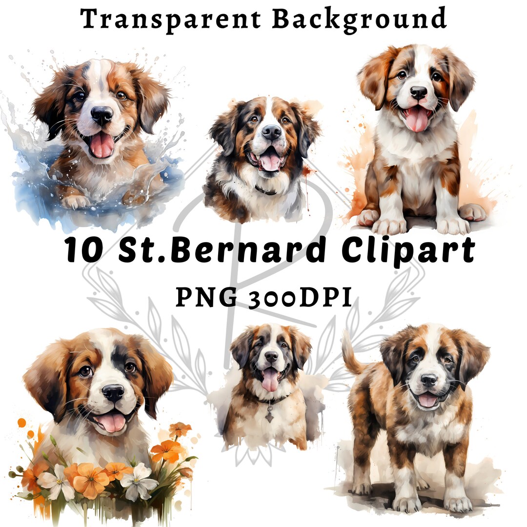 St. Bernard Dog Breed Clipart| 10 High-quality PNG Watercolor St ...