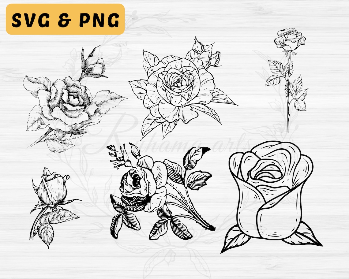 Rose Svg 50 Rose Flower Svg Bundle Files Svg Rose Cut Files - Etsy