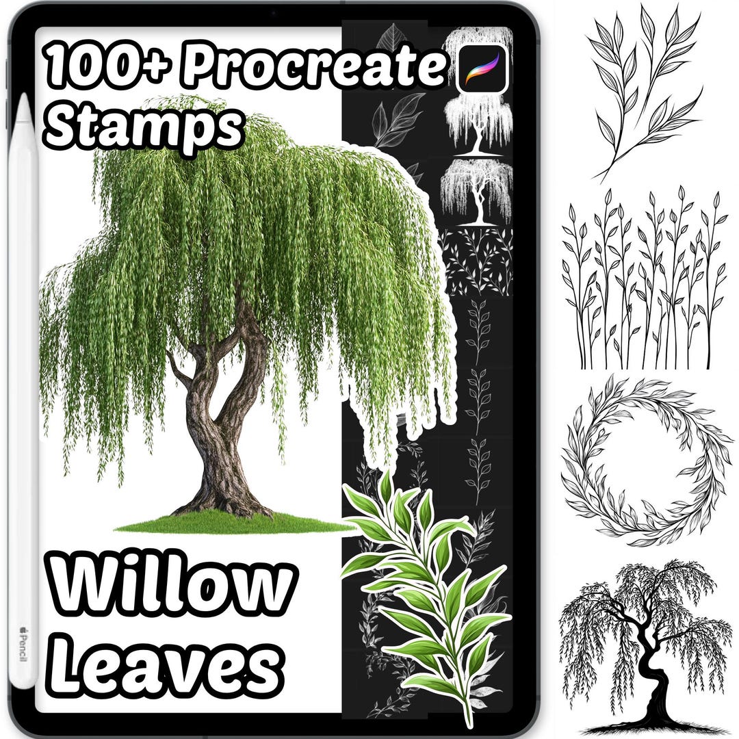 Willow Leaves Procreate Brushes | 100+ Procreate Willow Trees Stamps ...
