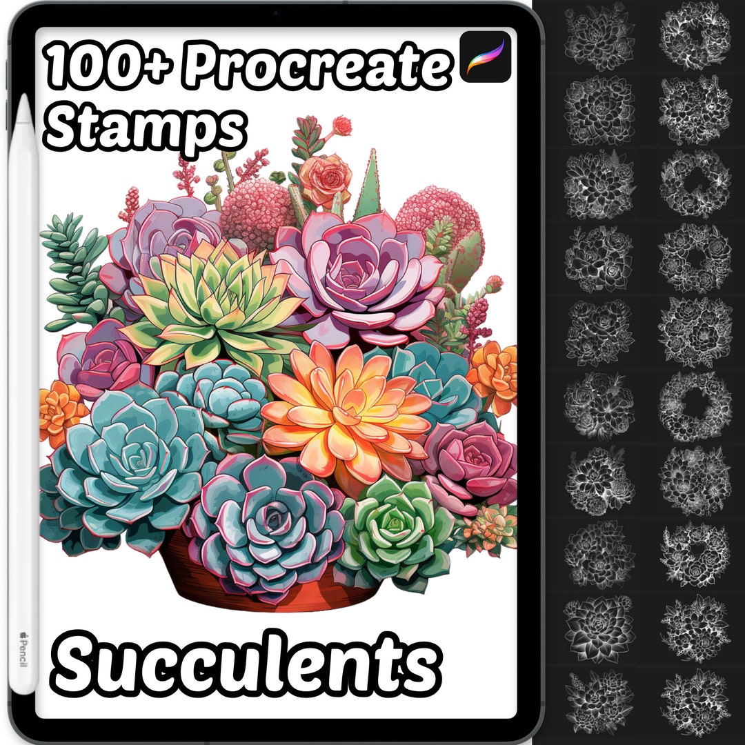 Succulents Procreate Brushes | 100+ Procreate Cactus Stamps | Procreate ...