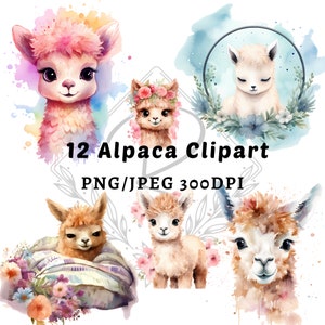 Alpaca Clipart 12 High-quality PNG Alpaca Clipart Alpaca - Etsy UK