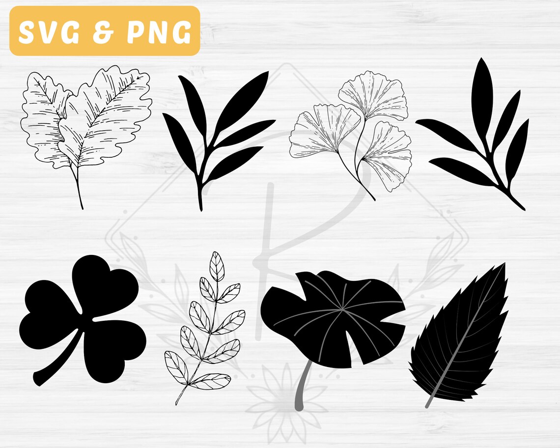 Tropical Leaves Svg Bundle 40 Tropical Palm Leaf Svg | Etsy
