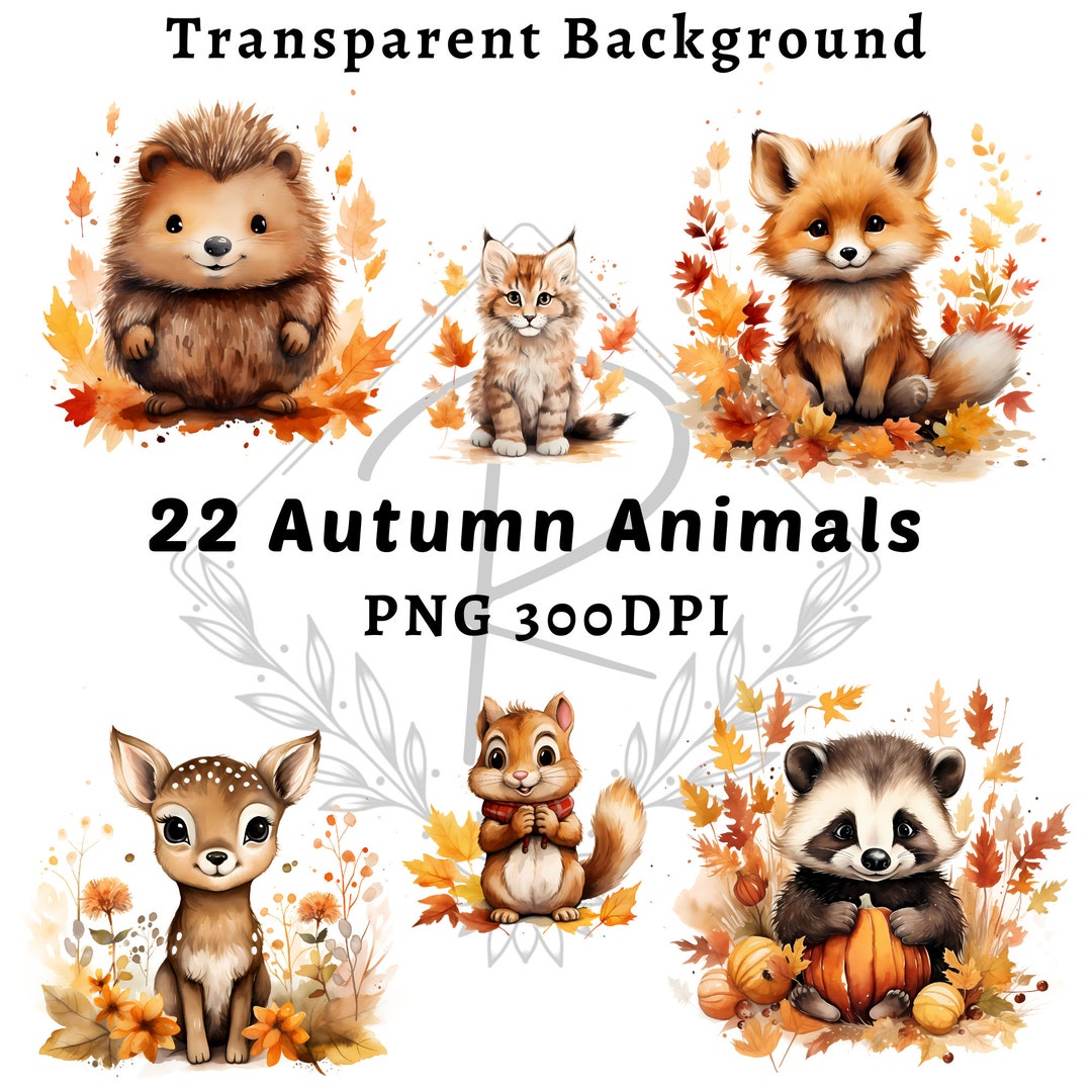 Autumn Animals Clipart 22 Woodland Animals Clipart PNG - Etsy