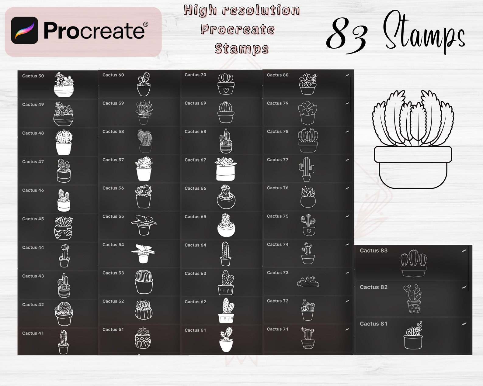 Cactus Plants Procreate Stamps | 83 Plants Procreate Stamps | House ...