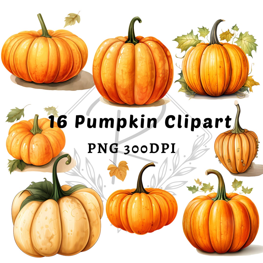 Pumpkin PNG Clipart 16 High-quality PNG Pumpkin Clipart - Etsy