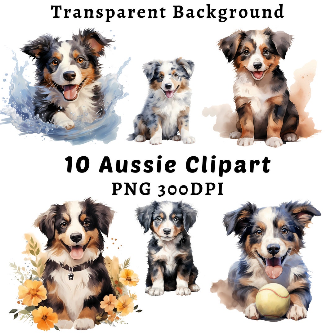 Aussie Breed Clipart| 10 High-quality PNG Watercolor Aussie Clipart ...
