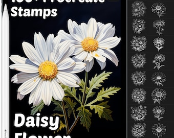 Procreate Daisy Flower Stamps 100 Daisy Flower Procreate Brushes ...