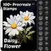Daisy Flower Procreate Stamps | 100+ Procreate Floral Stamps ...