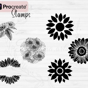 Sunflower Procreate Stamps | 84 Sunflower Procreate Brushes | Floral ...