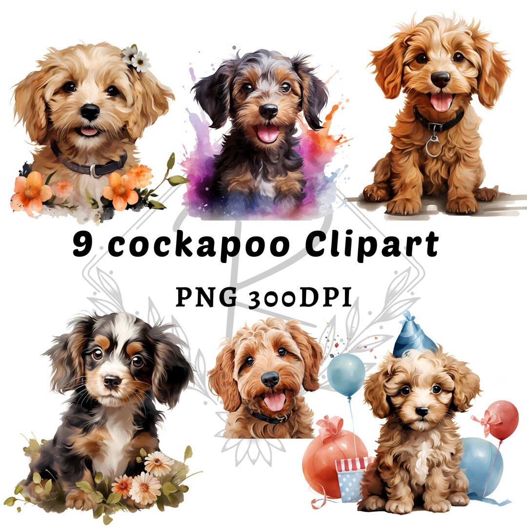 Cockapoo Dog Breed Clipart| 9 High-quality PNG Watercolor Cockapoo ...