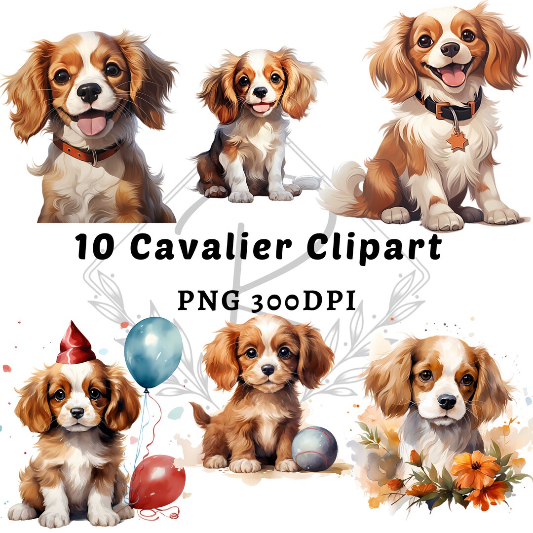 Cavalier Dog Breed Clipart| 10 High-quality PNG Watercolor Cavalier ...