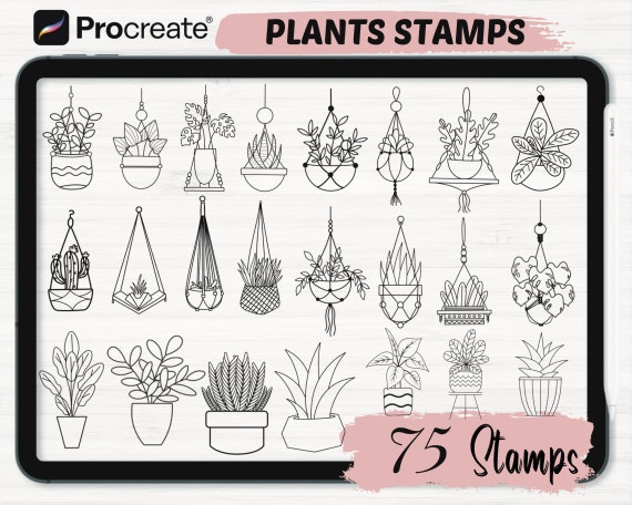 Plants Procreate Stamps 75 House Plants Procreate Stamps | Etsy