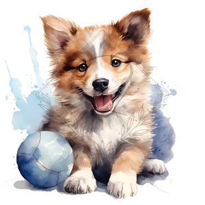 Pomsky Dog Breed Clipart| 10 High-quality PNG Watercolor Pomsky Dog ...