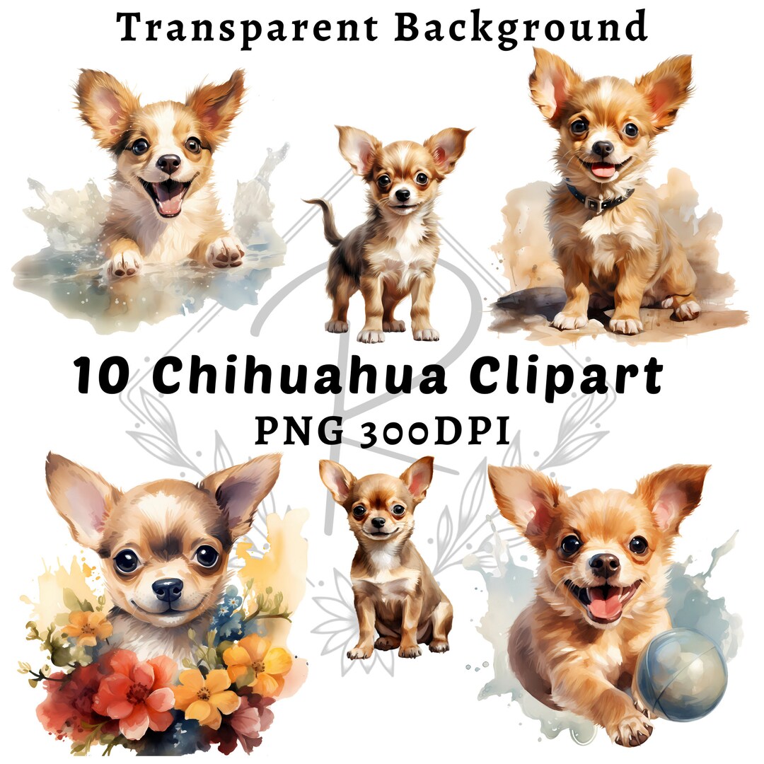Chihuahua Dog Breed Clipart| 10 High-quality PNG Watercolor Chihuahua ...