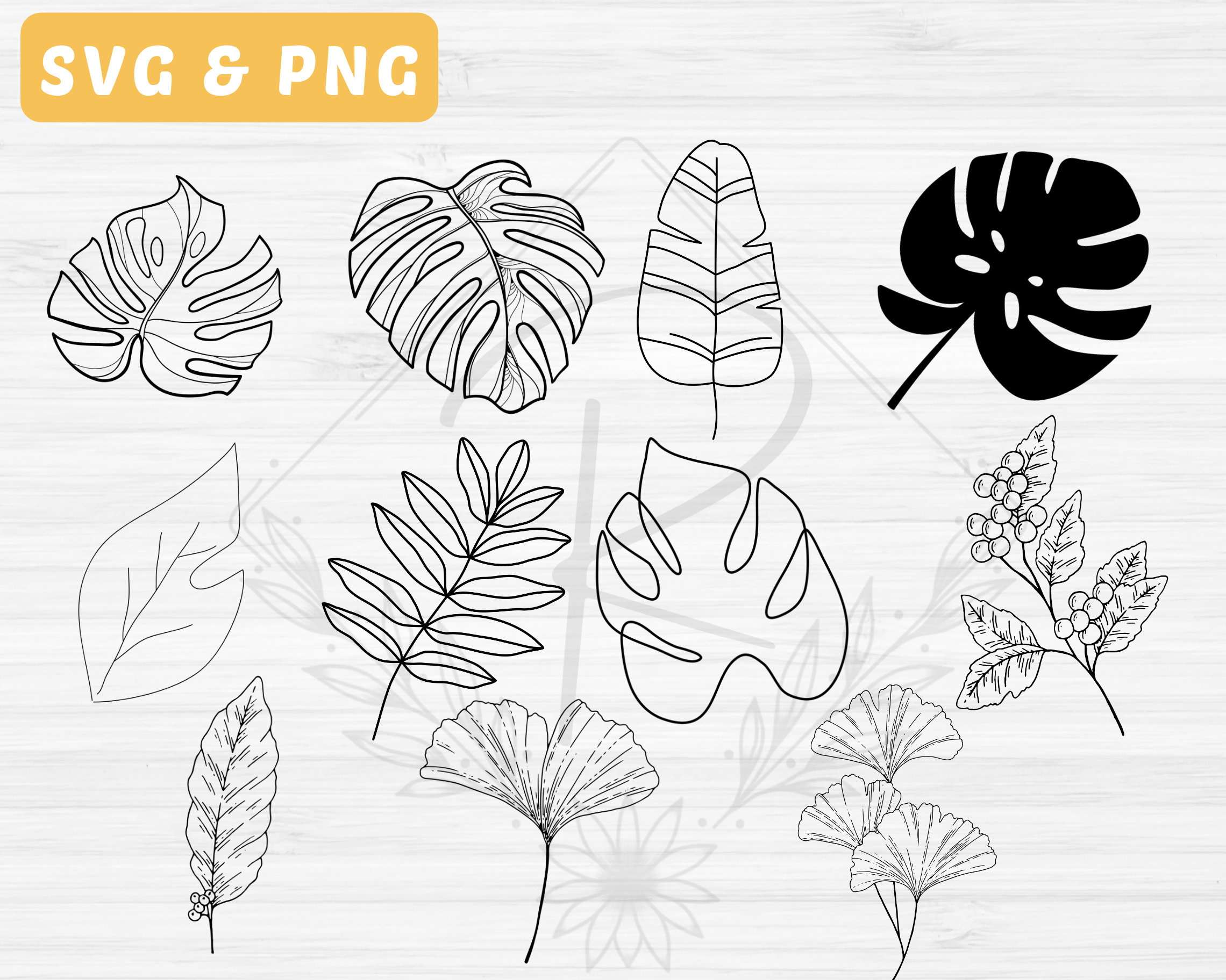 Tropical Leaves Svg Bundle 40 Tropical Palm Leaf Svg | Etsy