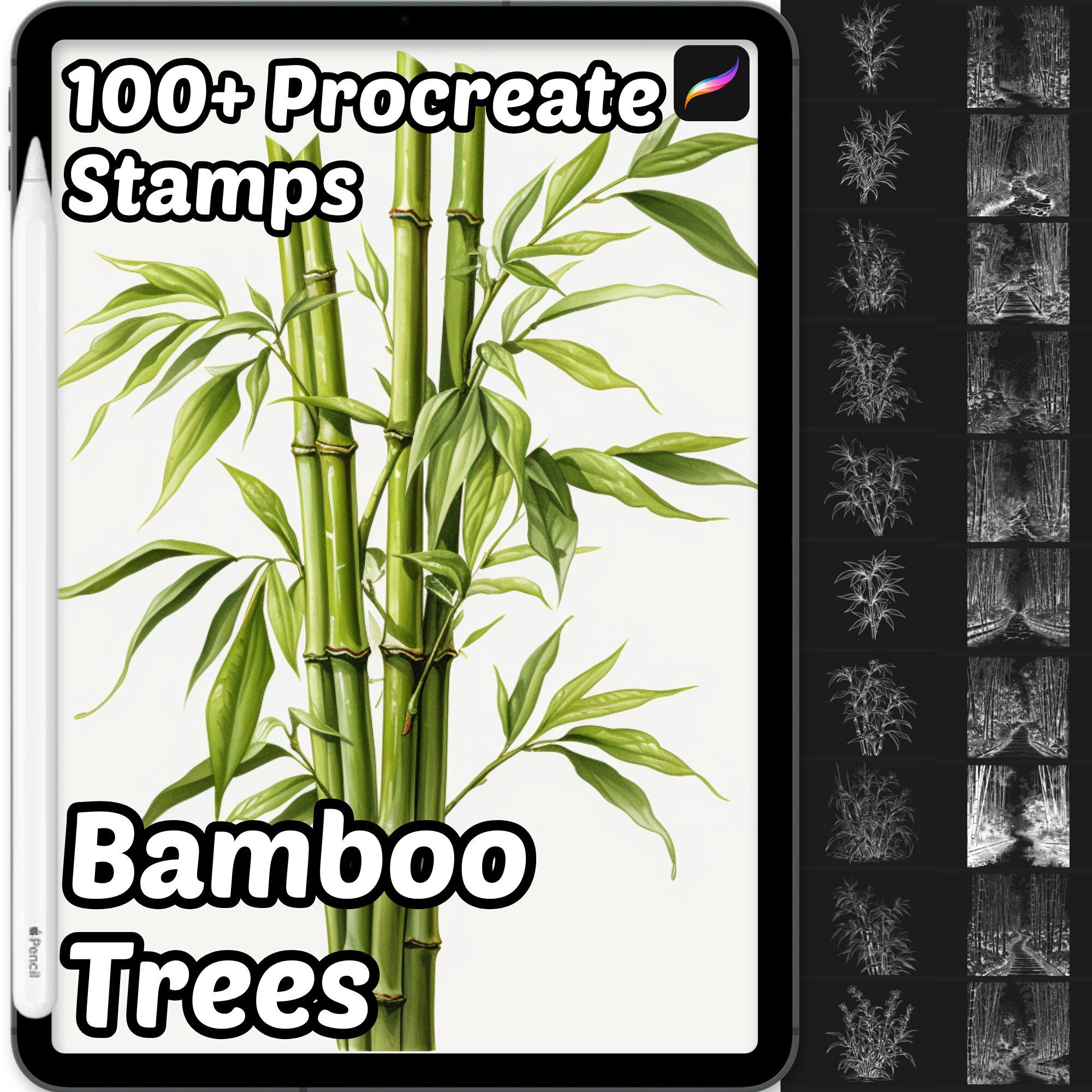 Bamboo Plant Procreate Brushes | 100+ Procreate Bamboo Plant Stamps ...