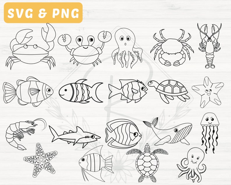 Sea Animal Svg Bundle File | 84 Hand Drawn Ocean Animal Svg Bundle ...