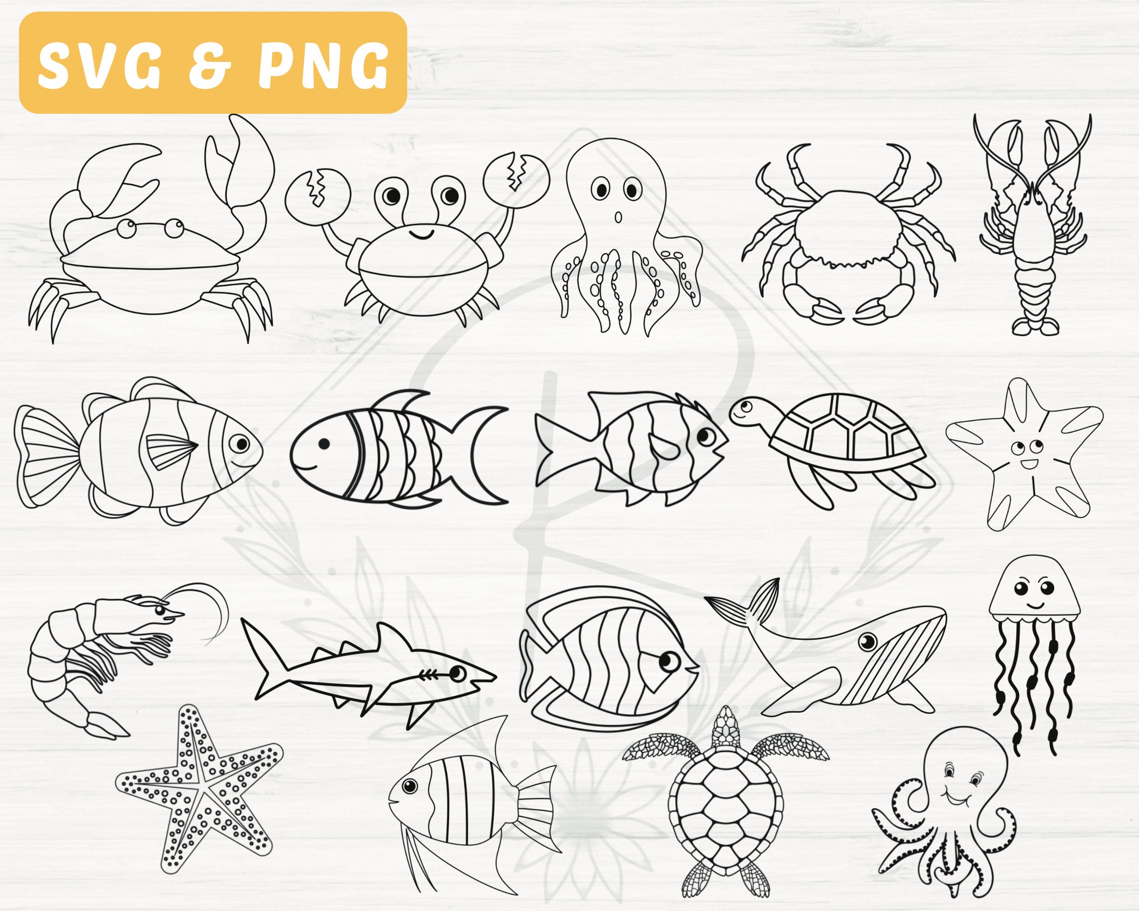 Sea Animal Svg Bundle File 84 Hand Drawn Ocean Animal Svg - Etsy