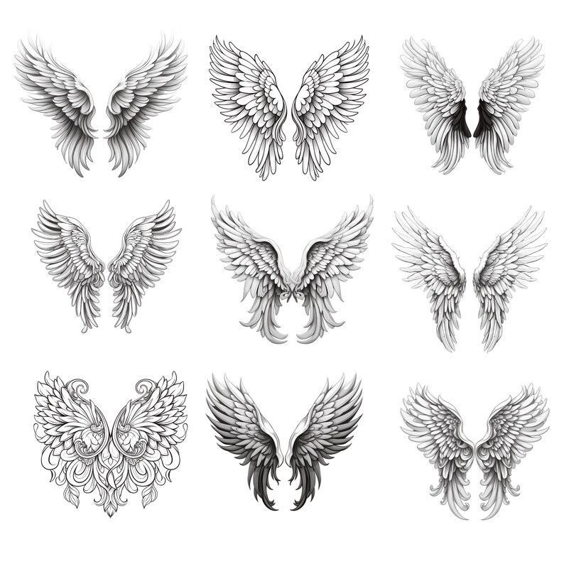 Procreate Angel Wings Stamps | 100 Wings Procreate Stamps | Angel Wings ...