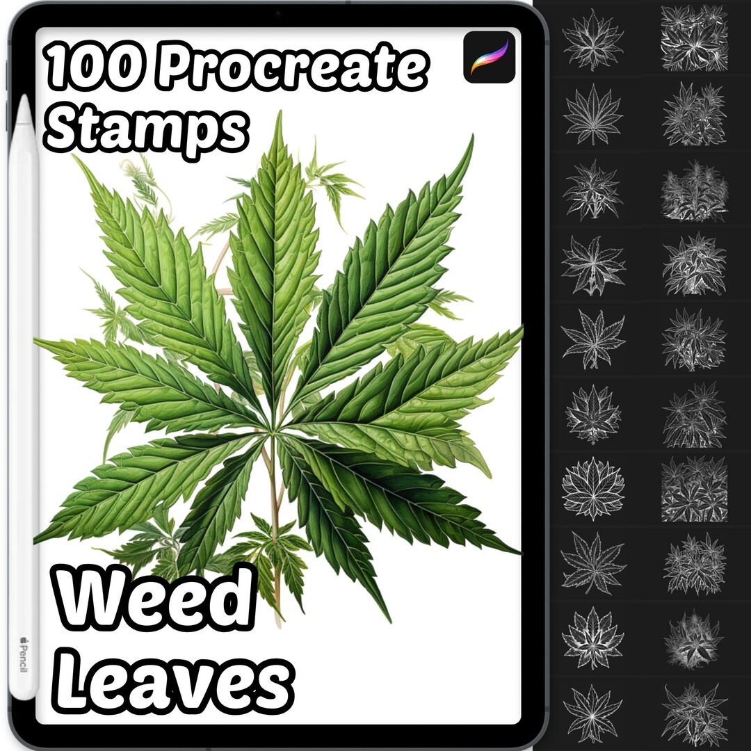 Weed Leaves Procreate Stamps | 100 Procreate Leaves Stamps | Procreate ...