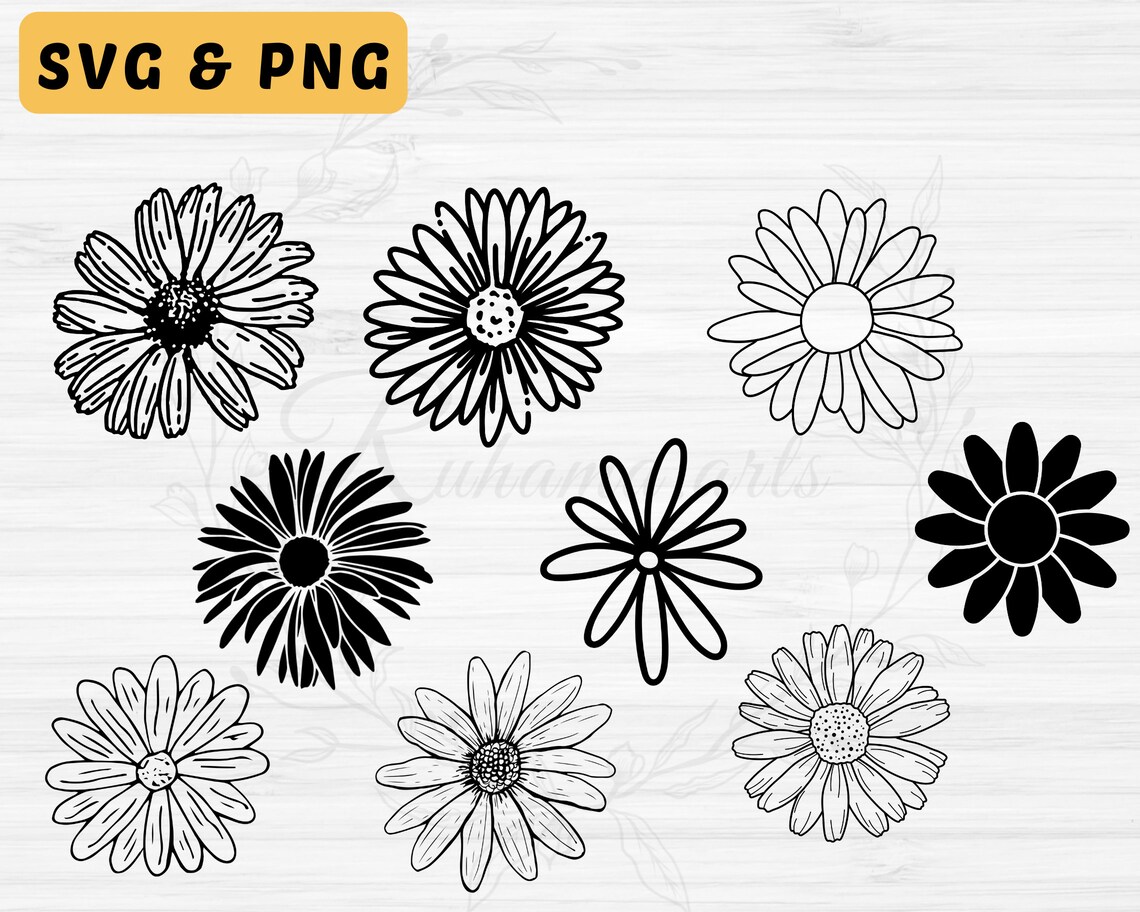 Daisy Svg 50 Daisy Flower Svg Bundle Daisy Svg Bundle - Etsy