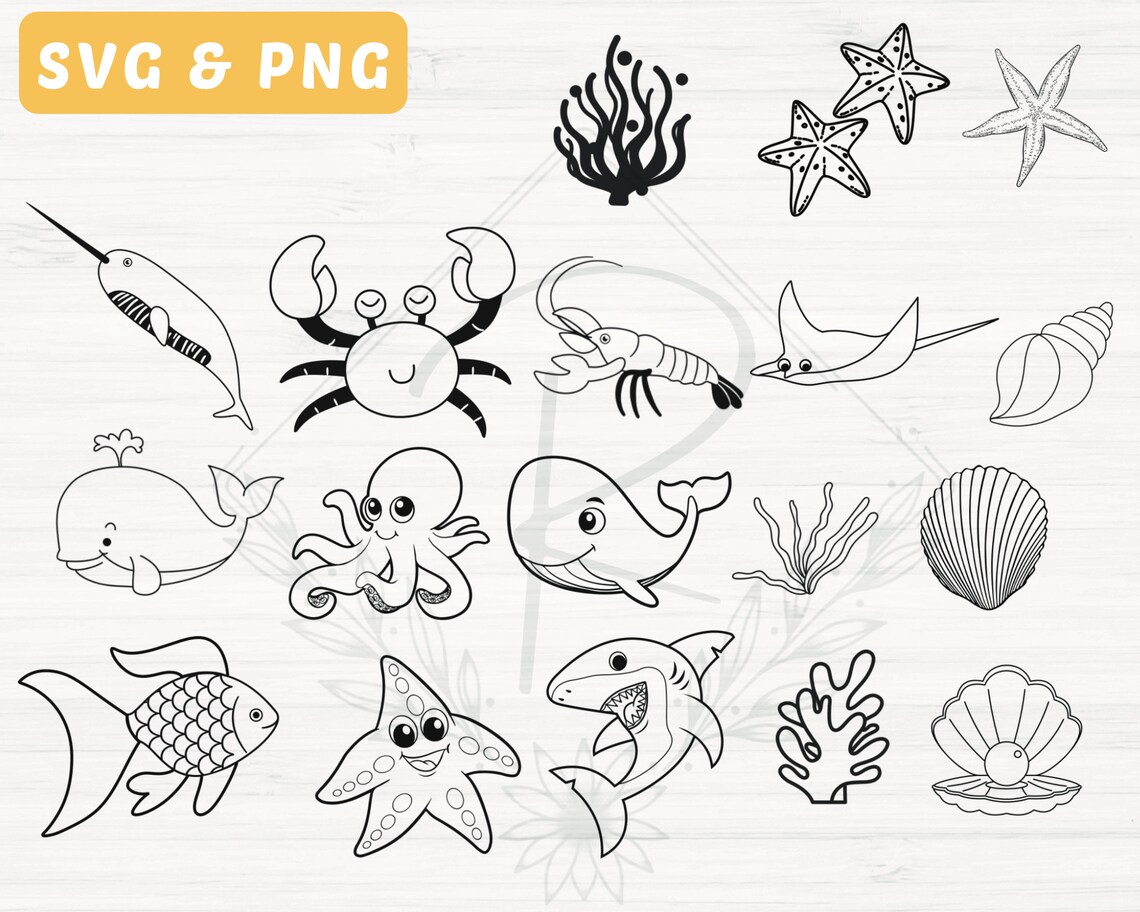 Sea Animal Svg Bundle File 84 Hand Drawn Ocean Animal Svg - Etsy