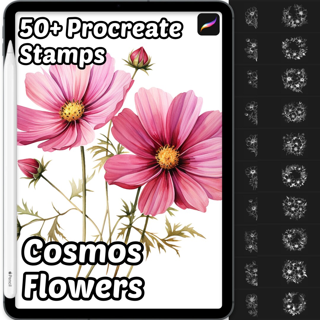 Cosmos Flower Procreate Brushes | 50+ Procreate Cosmos Flower Stamps ...