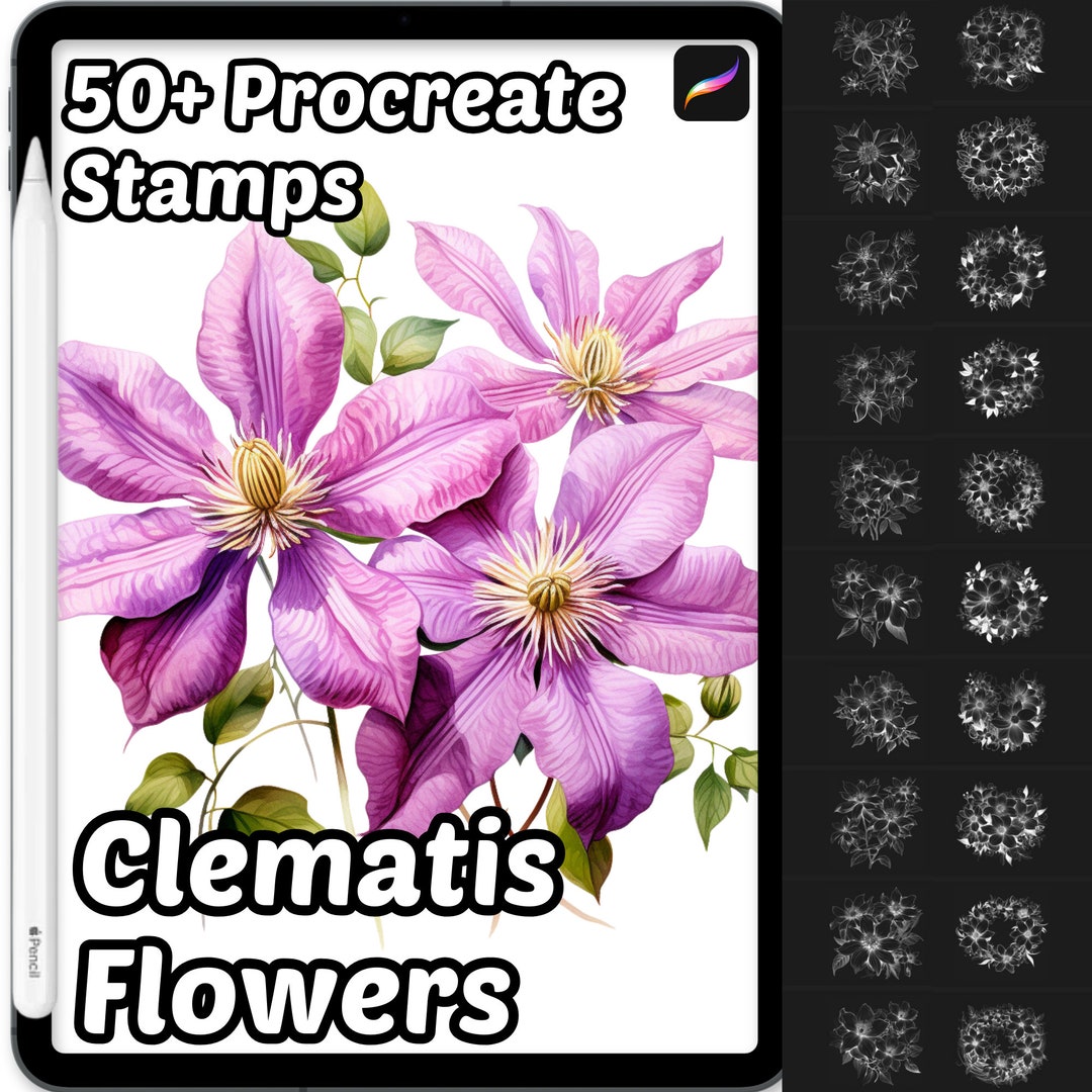 Clematis Flower Procreate Brushes | 50+ Procreate Clematis Flower Stamps | Procreate Brushes ...